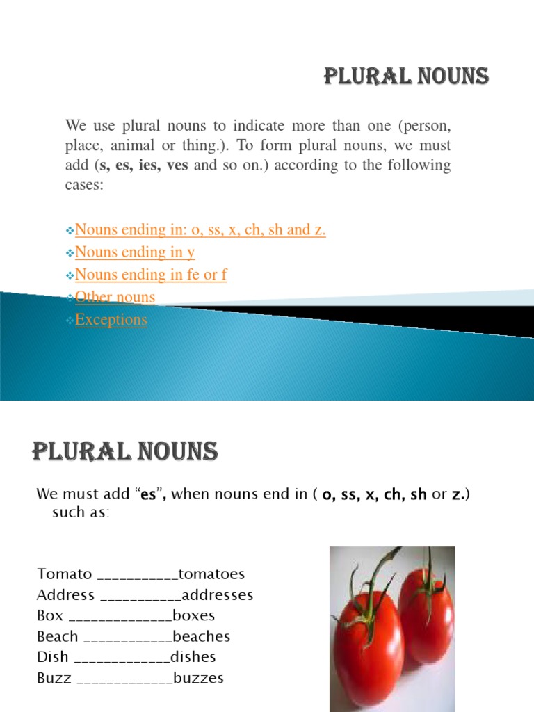 Rules for Forming Plural Nouns | PDF | Poetry