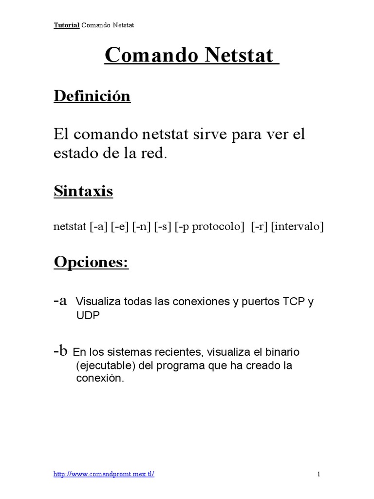 Comando+Netstat Ramon | PDF | Protocolos de internet | Estándares de red