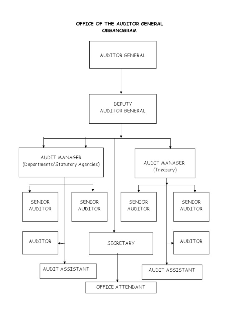 Auditor General Office Organogram | PDF