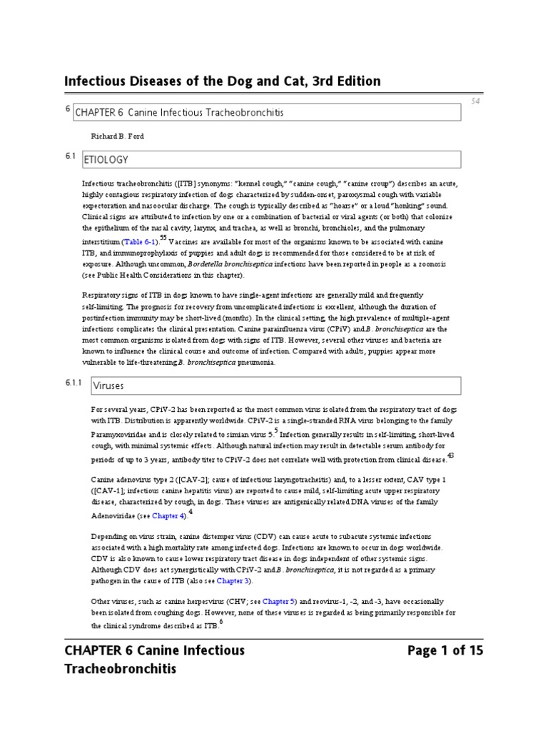 06 Canine Infectious Tracheobronchitis | PDF | Infection | Vaccines
