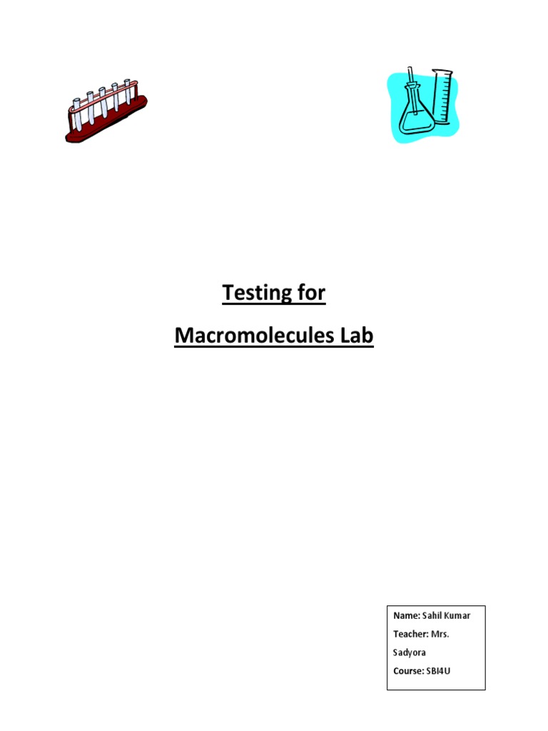 Testing For Macromolecules Bio Lab | PDF | Starch | Foods