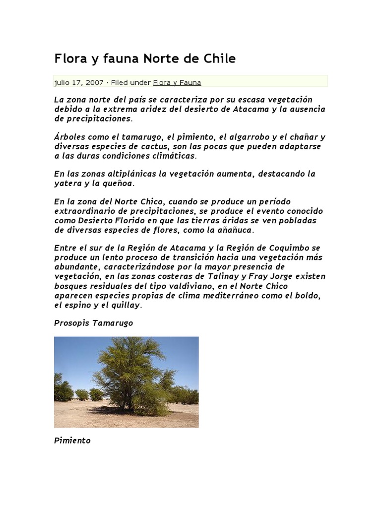 Flora y Fauna Norte de | PDF | Chile | Ciencias de la Tierra
