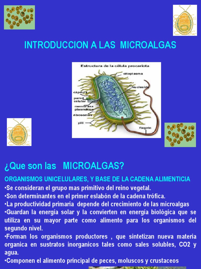Introduccion A Las Microalgas | PDF | Algas | Cloroplasto