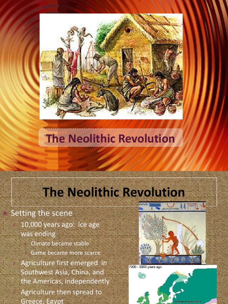 neolithic revolution powerpoint | Neolithic | Agriculture