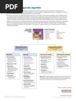 IDEXX CBC Chem Explained | PDF | Renal Function | Creatinine