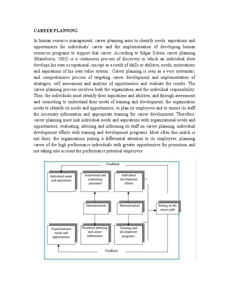 Case Study - Career Planning | PDF | Goal | Employment