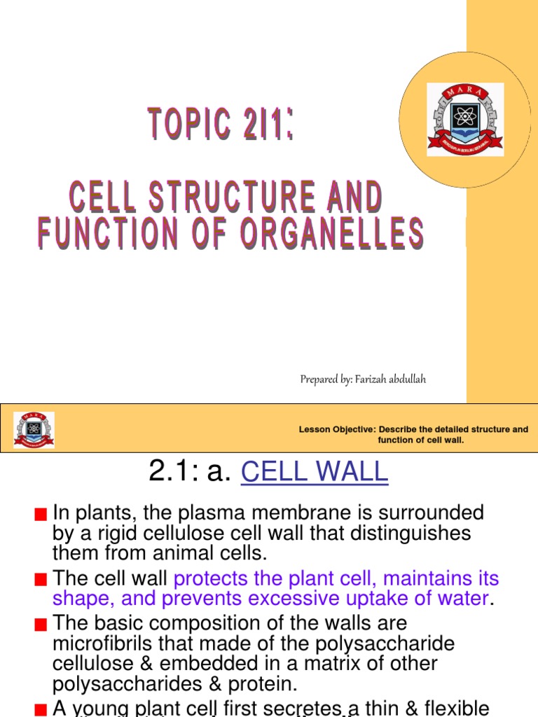2.1. Cell Structure and Function of Organelles | Organelle | Cell Membrane