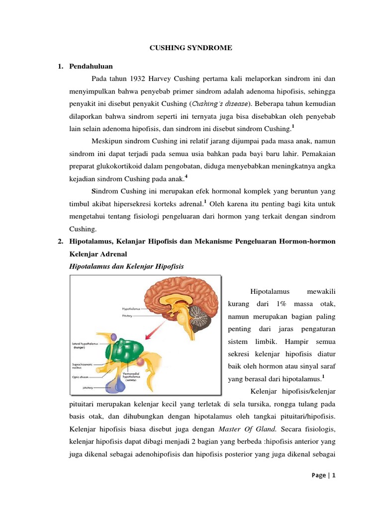 Memahami Sindrom Cushing dan Hormon Adrenal | PDF | Kesehatan Holistik ...