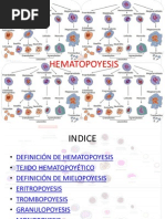 Determinación de Hemoglobina (HB) Con Reactivo de Drabkin | PDF ...