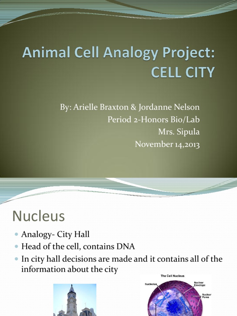 Animal Cell Analogy | PDF | Cell (Biology) | Endoplasmic Reticulum