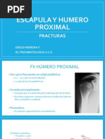 Fractura de Escápula: Diagnóstico y Tratamiento | PDF | Hombro ...