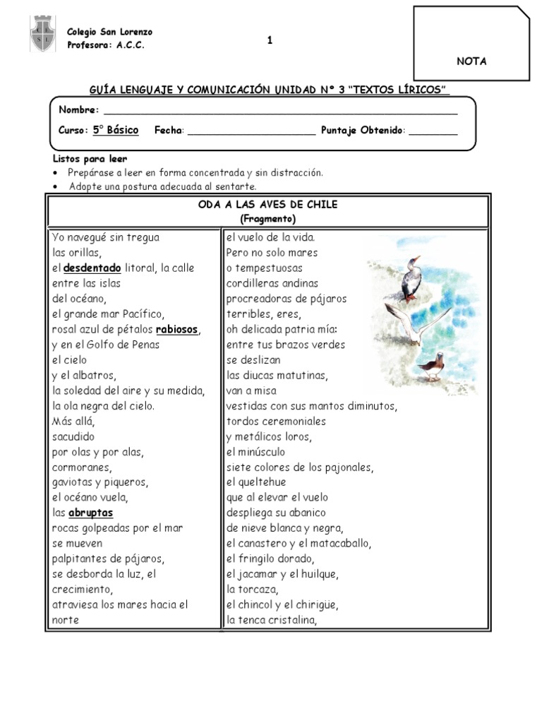 Actividad 5° Género Lírico | PDF | Aves | Tetrápodos