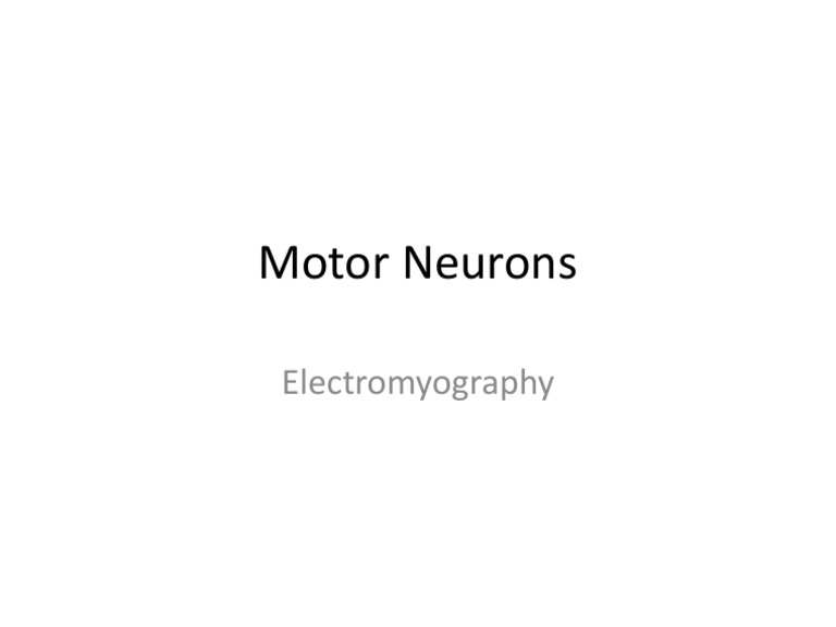 Motor Neurons Template | PDF