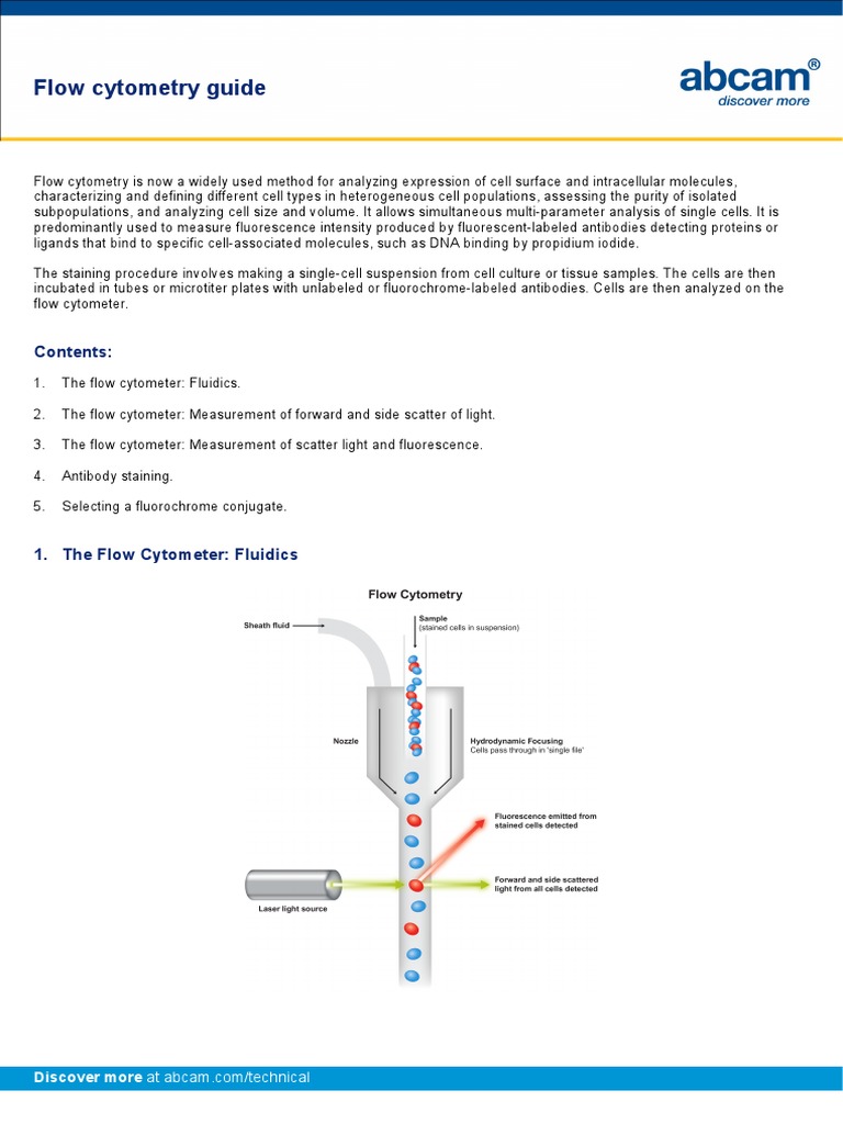 Introduction To Flow Cytometry May 10 | PDF | Flow Cytometry | Optical ...