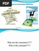 Consumer Behaviour Schiffman 9th Edition | PDF | Attitude (Psychology ...