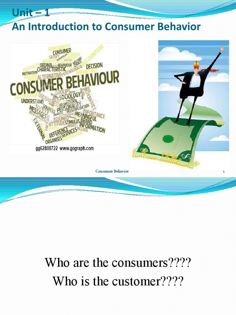 Consumer Behavior Introduction | PDF | Consumer Behaviour | Behavior
