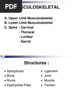 EMRA SportsMedicine Splint Guide | PDF | Thumb | Hand