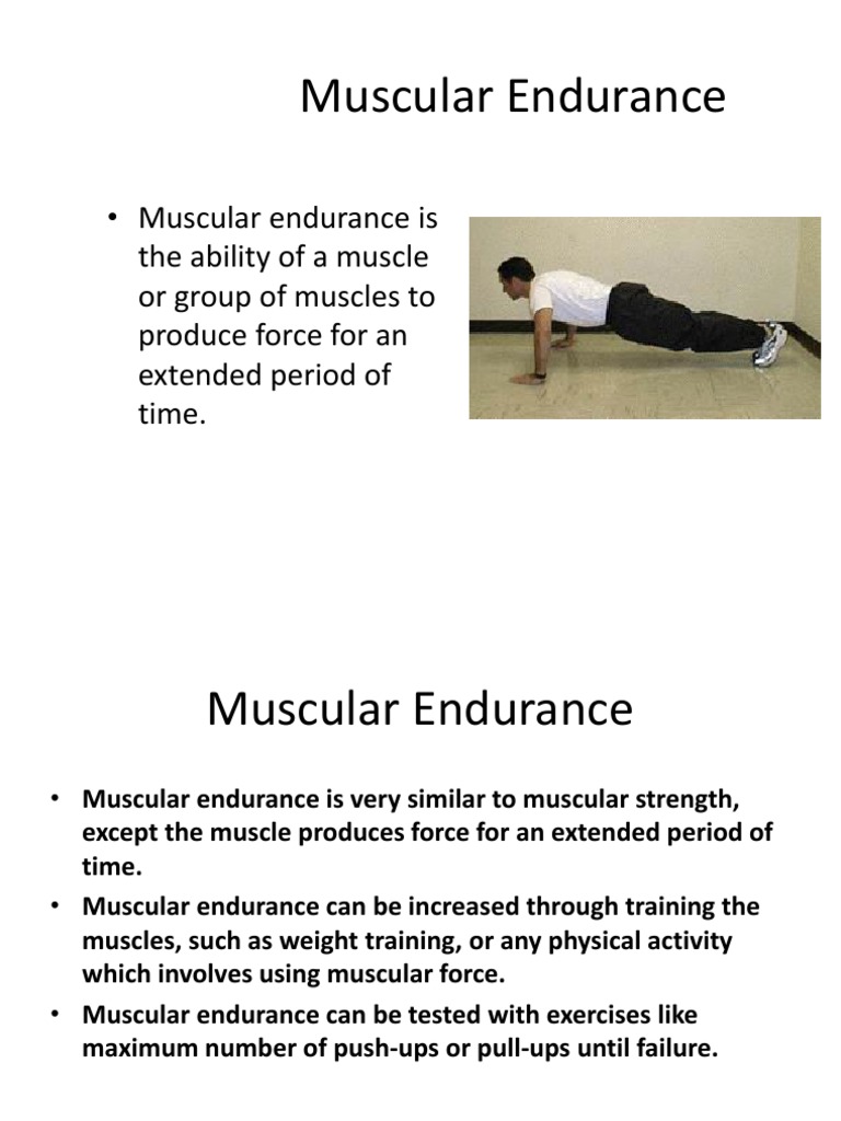 Muscular Endurance | PDF | Weight Training | Muscle
