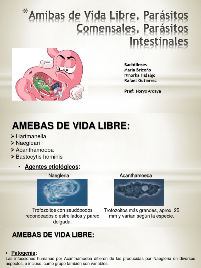 Amebas de Vida Libre | PDF | Diarrea | Microbiología