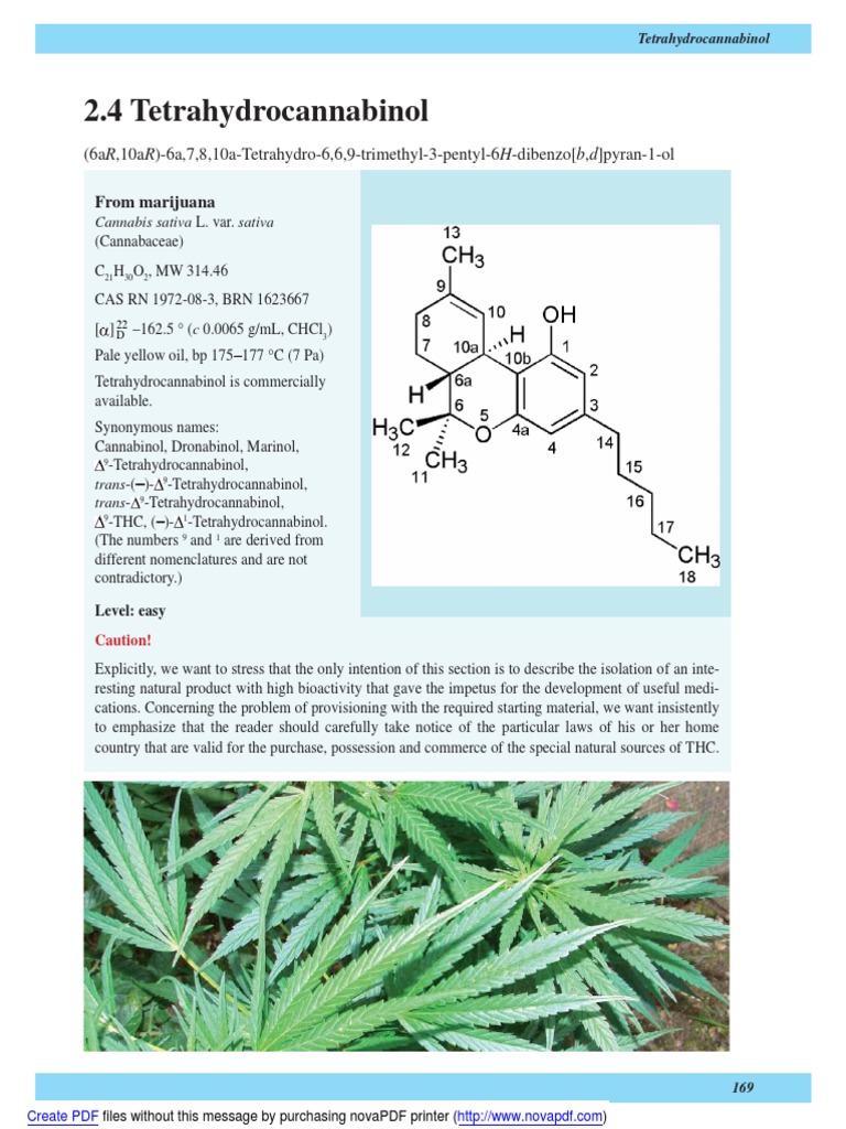 Tetrahydrocannabinol From Marijuana | Cannabis | Hemp