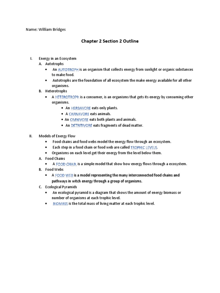 Energy Flow in Ecosystems Outline | PDF