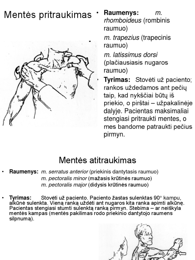 Raumenu Jegos Testavimas | PDF