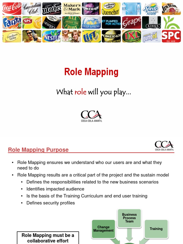 Role Mapping Process | PDF | Databases | Business Process