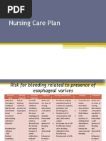 Nursing Care Plan For Angina Pectoris NCP | PDF | Internal Medicine | Heart