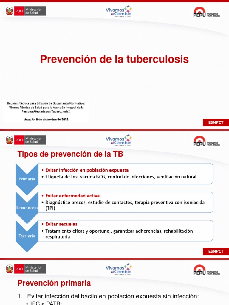 Prevención Integral de Tuberculosis | PDF | Relaciones personales ...