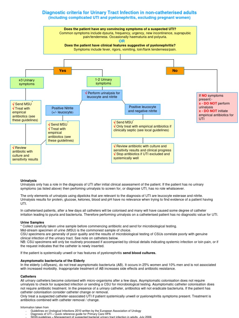 Diagnostic Criteria For Urinary Tract Infection | PDF | Urinary Tract ...