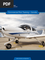 Speedbird Pilot Academy 2025 Application Guide | PDF | Aviation