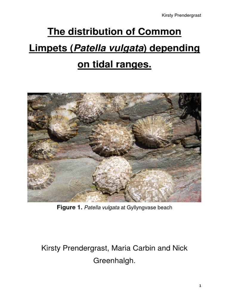 The Distribution of Common Limpets | PDF | Littoral Zone | Statistical ...