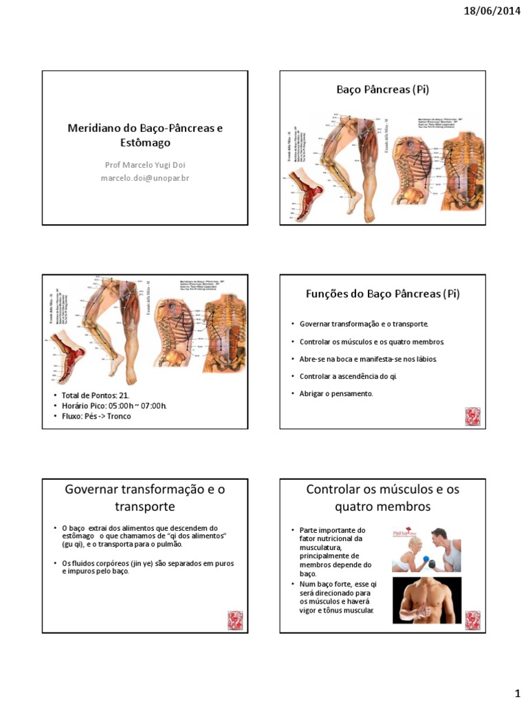 Meridiano Do Baço-Pâncreas e Estômago | PDF | Baço | Músculo