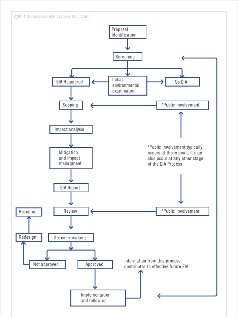 1 Generalised EIA Process Flowchart | PDF