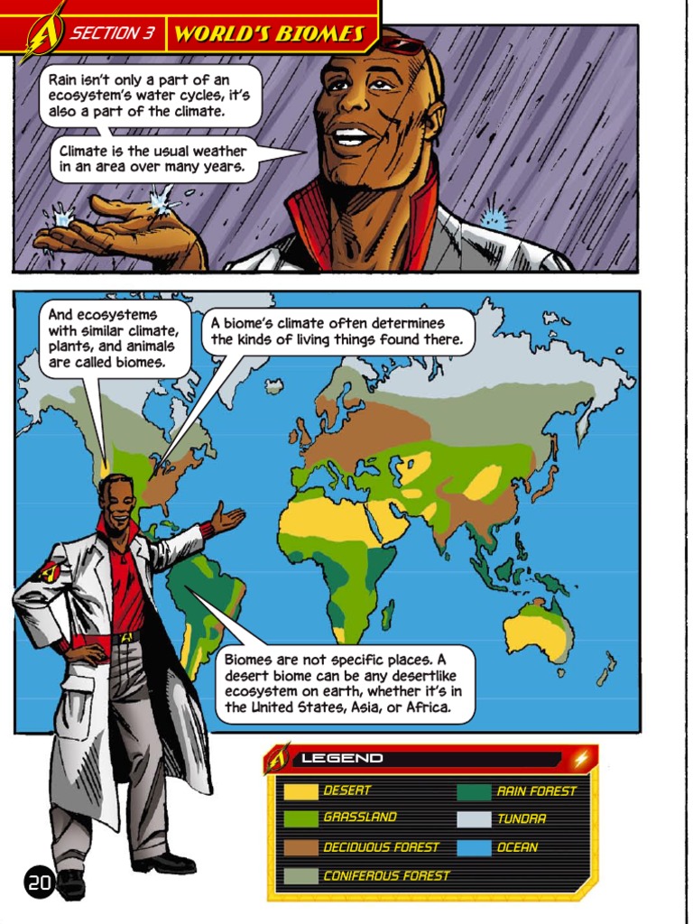 Biomes Comic Book | PDF | Grassland | Forests