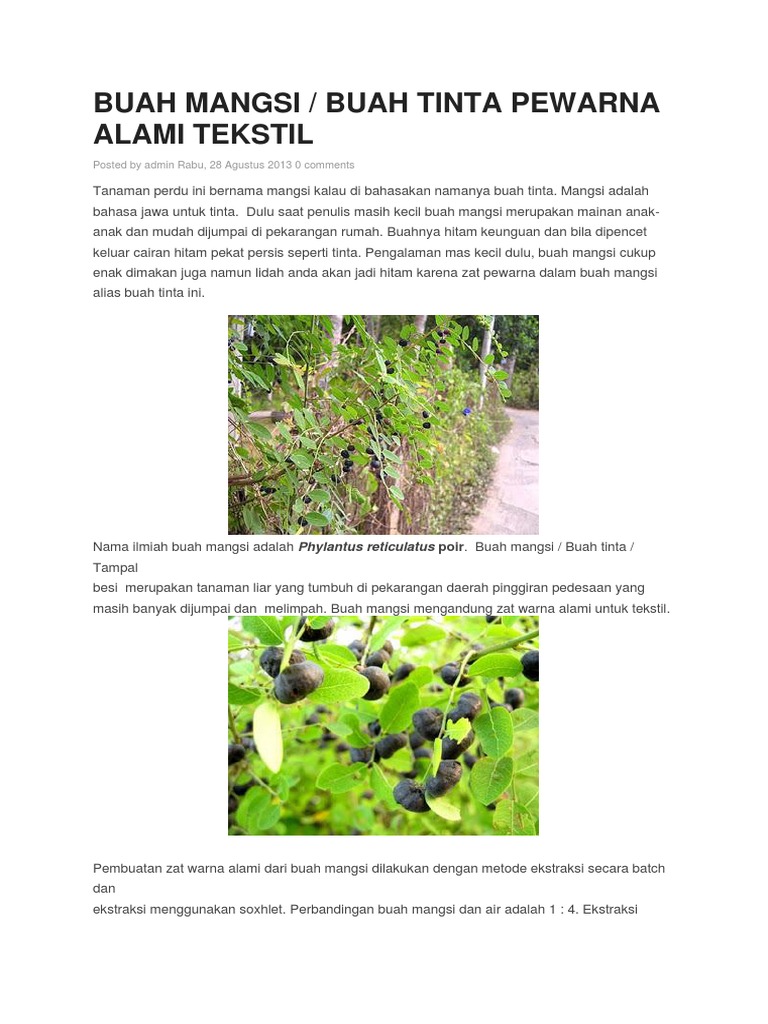 Manfaat dan Ekstraksi Buah Mangsi | PDF