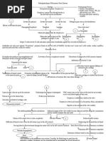 TNCC Study Guide | PDF | Major Trauma | Medicine