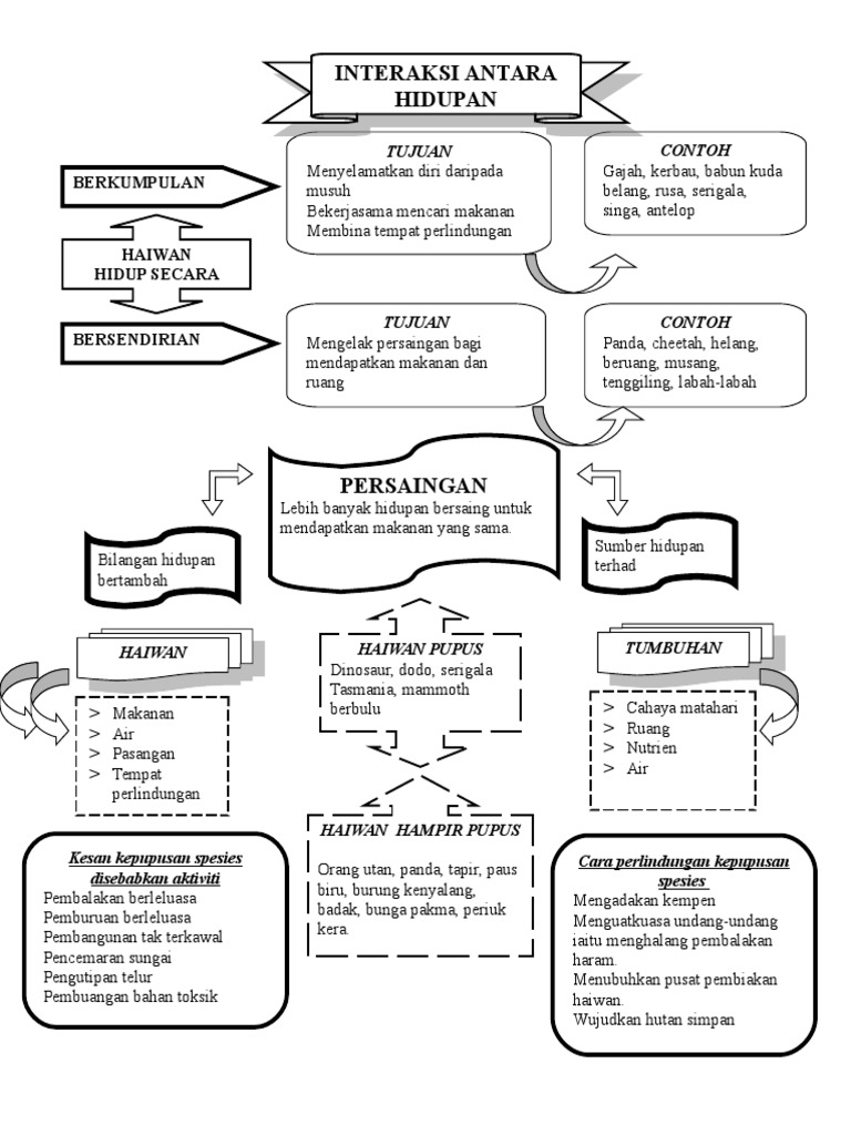 Nota Sains Tahun 6 | PDF