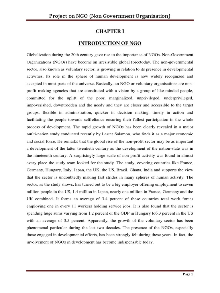 Ngo Project Final | PDF | Non Governmental Organization | Public Sphere