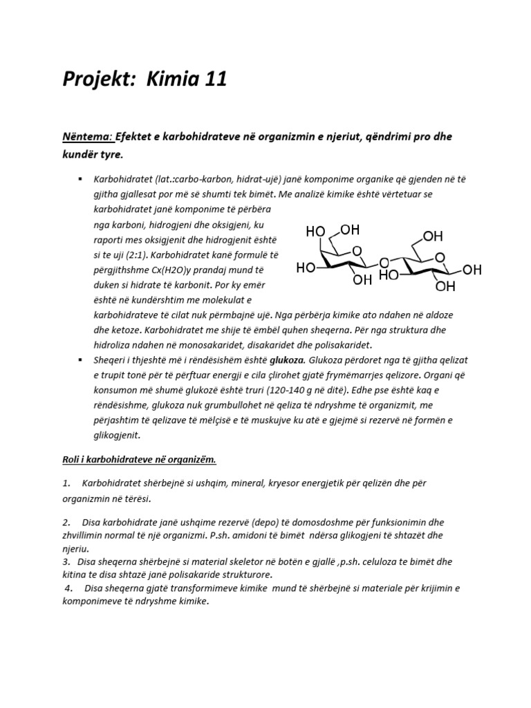 Projekt (Sheqernat) | PDF