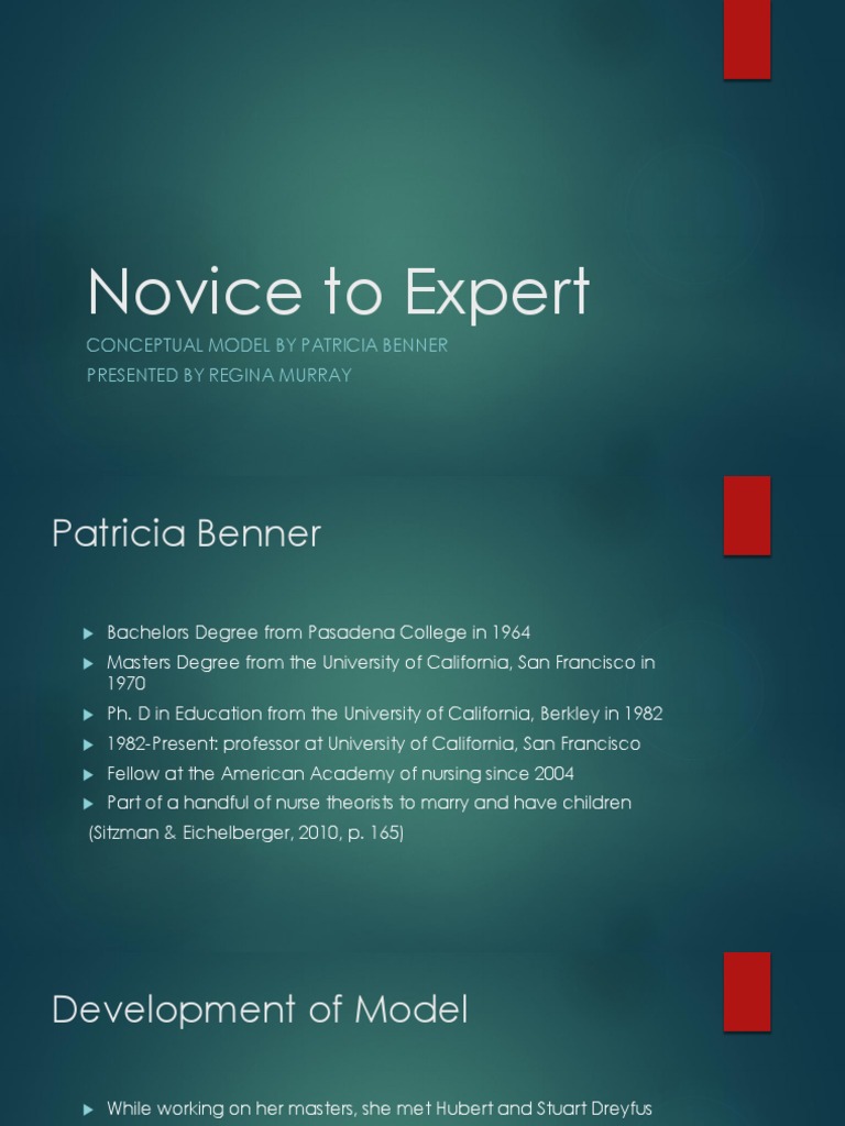 Novice to Expert | Expert | Mentorship