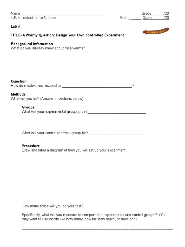 Designing An Experiment Mealworms | PDF