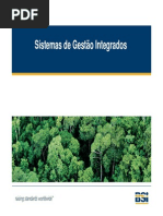 IWS: Sistema de Trabalho Integrado da P&G | PDF