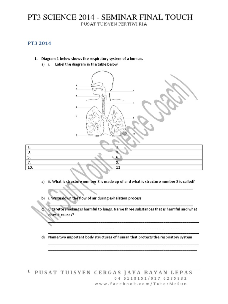 PT3 Science Form 3 SEMINAR | PDF | Heart Valve | Atrium (Heart)