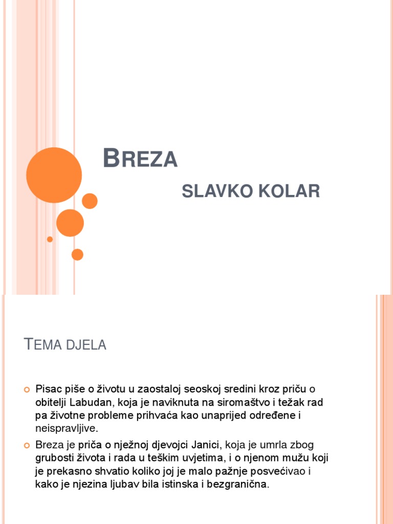 Breza 2003-2007 | PDF