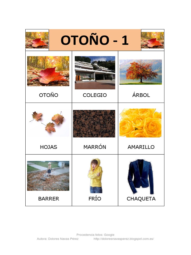 Bingo Otoño 3x3 Fotos PDF | PDF | Ciencias sociales | Hogar, jardinería ...