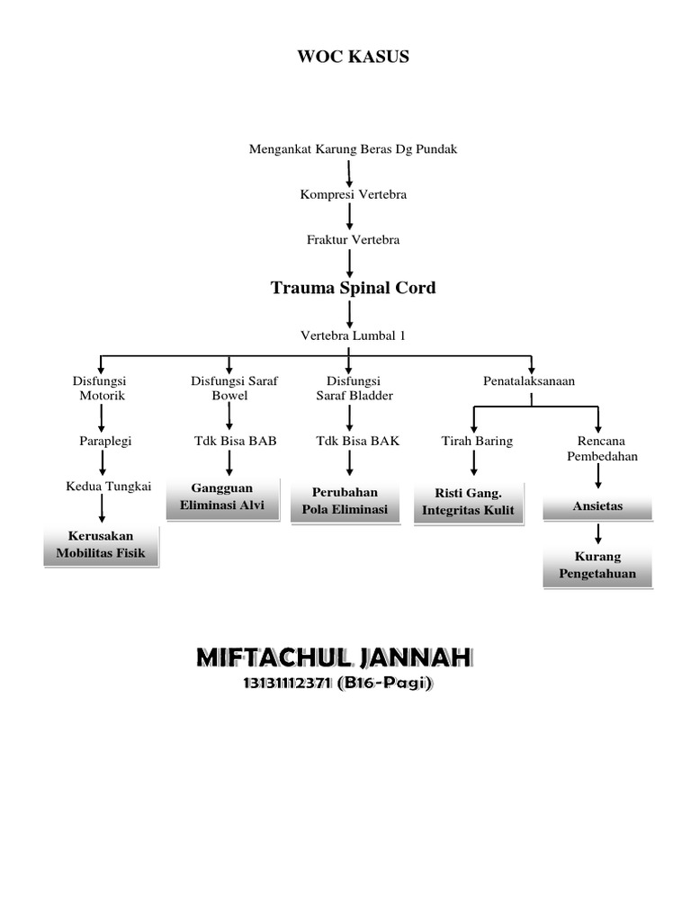 Woc Trauma Spinal | PDF