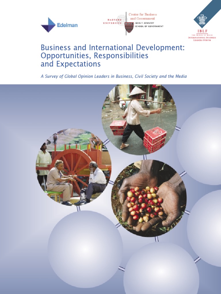 Report 5 Edelman Survey | PDF | Millennium Development Goals ...