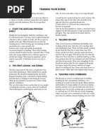 Level 1 Freestyle Riding Skills Guide | PDF | Horse Gait | Equus