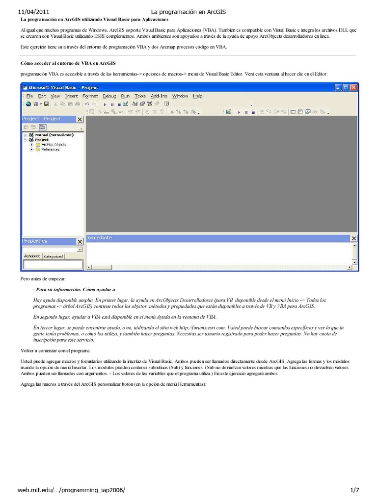 Programación VBA en ArcGIS | PDF | Básico | Macro (informática)